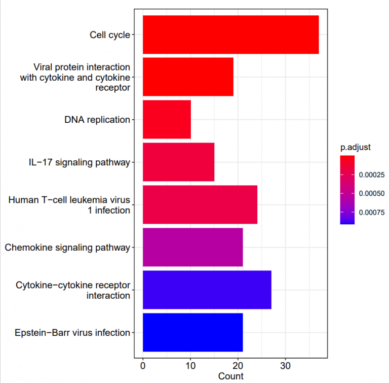 ClusterProfiler KEGG富集分析：小白必备，轻松掌握的基因表达解读秘籍！ – 云生信