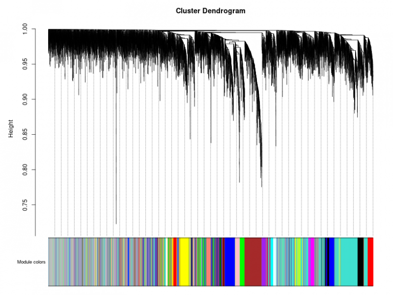 高分生信SCI-WGCNA分析复现 – 云生信