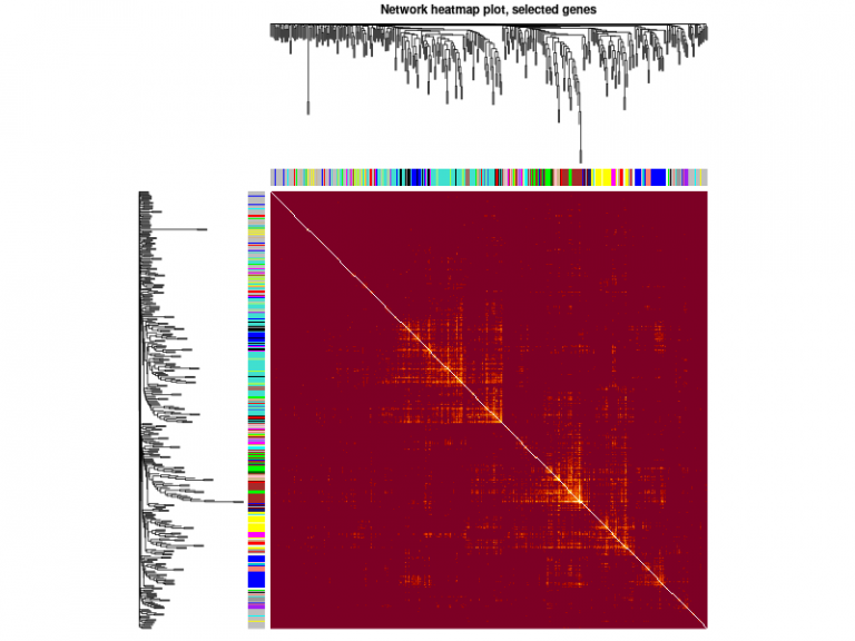 高分生信SCI-WGCNA分析复现 – 云生信