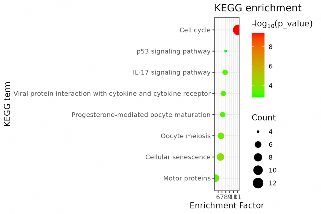 ggplot2 之作：多彩和谐的通路富集可视化之旅 ！ – 云生信