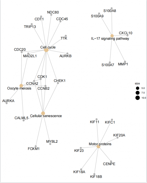 ggplot2 之作：多彩和谐的通路富集可视化之旅 ！ – 云生信