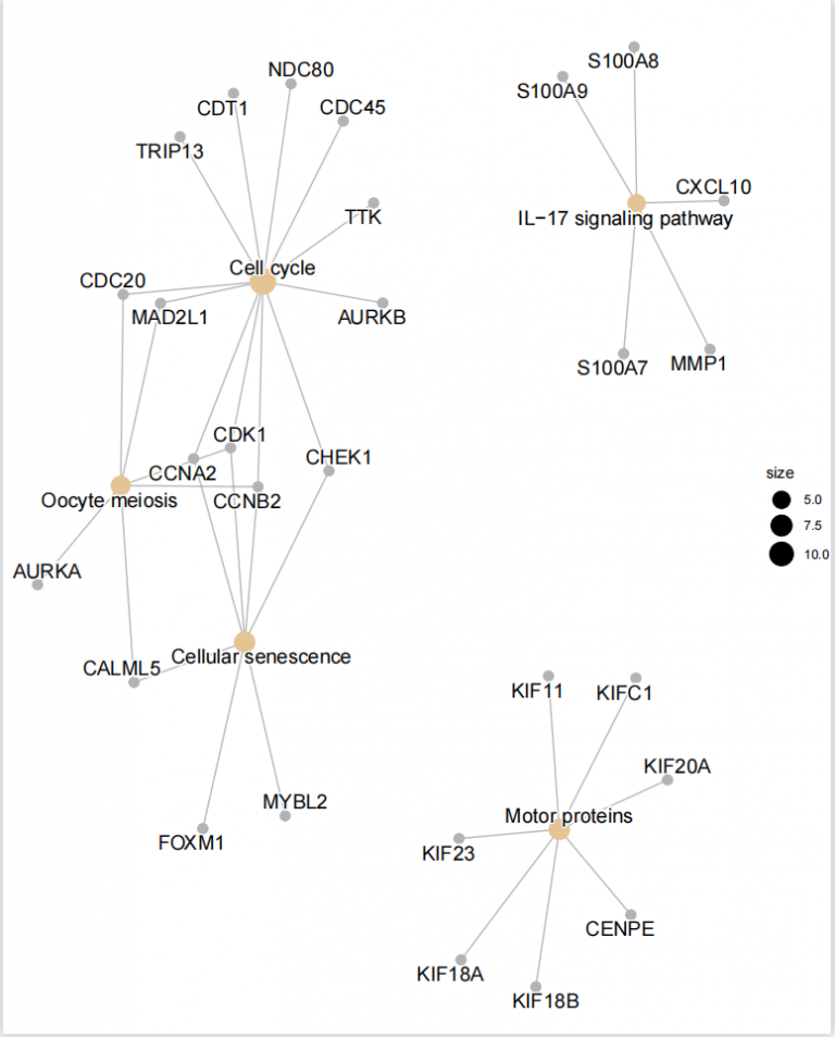 ggplot2 之作：多彩和谐的通路富集可视化之旅 ！ – 云生信