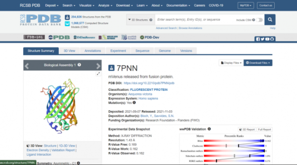 分子可视化工具Pymol速通指南（一） – 云生信