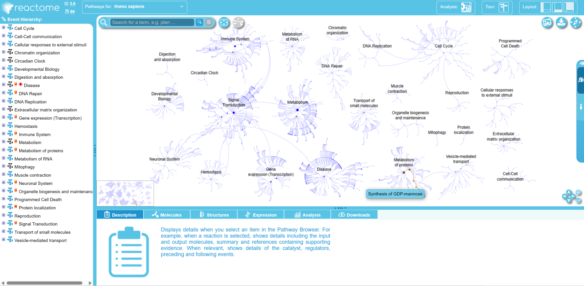 超越KEGG，开源免费的信号通路数据库——Reactome – 云生信