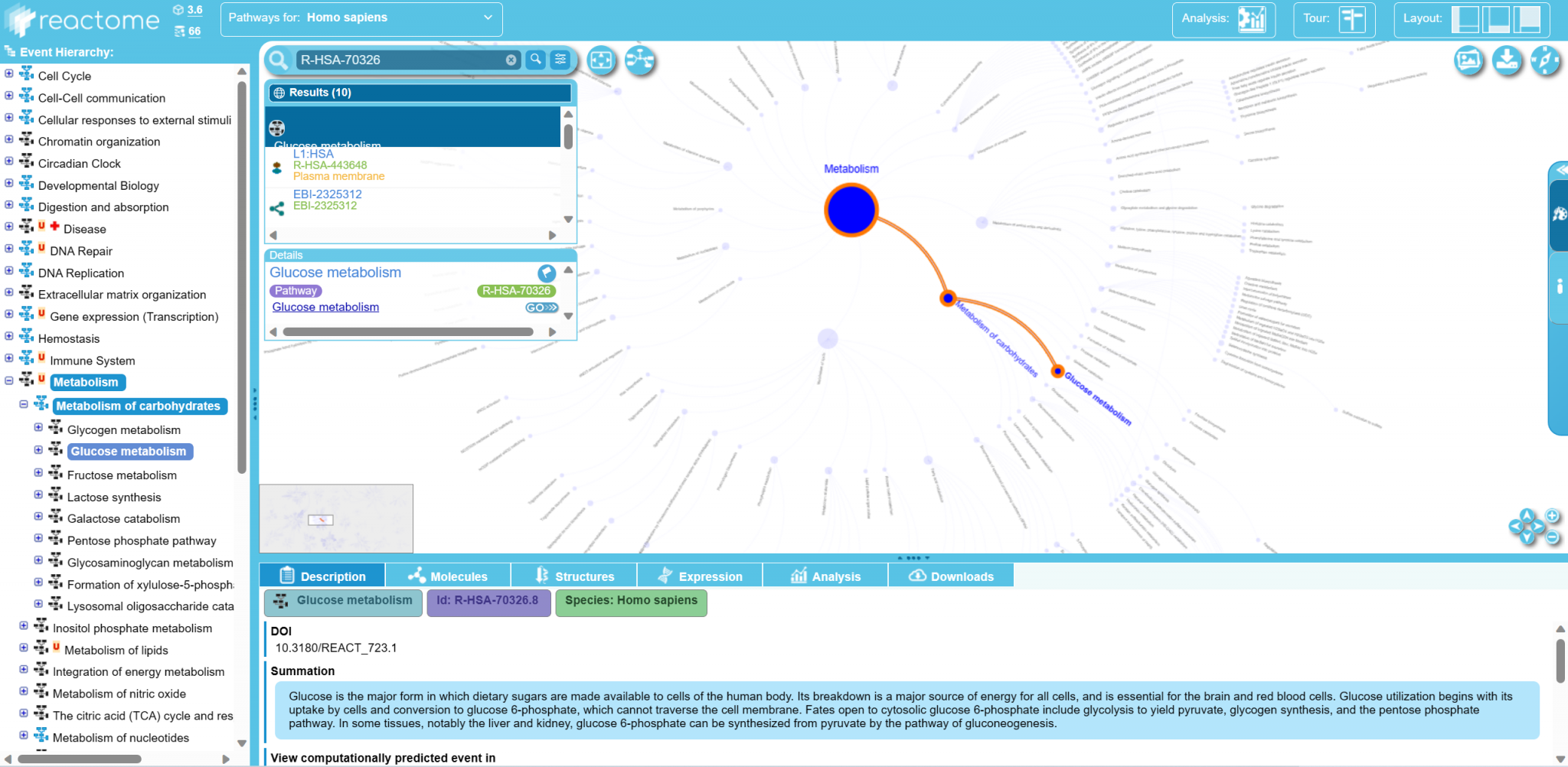 超越KEGG，开源免费的信号通路数据库——Reactome – 云生信
