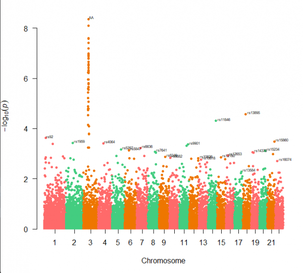 保姆级教程！！小果教你学习曼哈顿图！Manhattan图！！ – 云生信