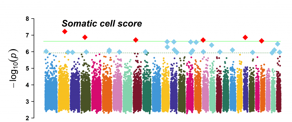 学会CMplot，绘制出比qqman更优秀的GWAS可视化结果 – 云生信