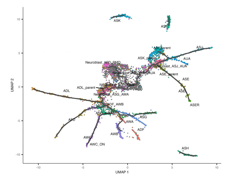拟时序分析不会做？R包Monocle3来解决 – 云生信