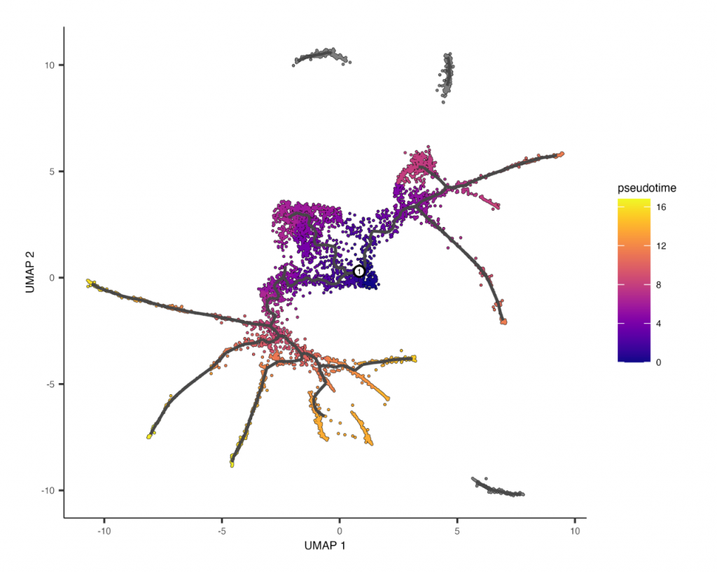 拟时序分析不会做？R包Monocle3来解决 – 云生信