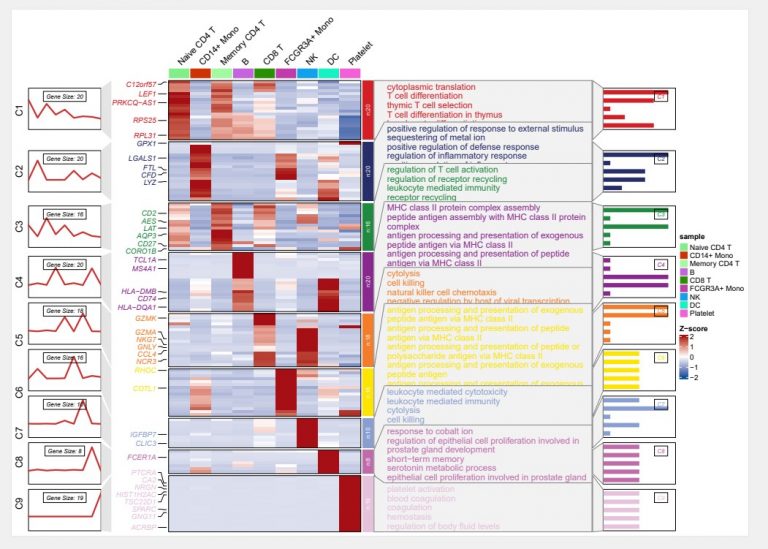 跟着老俊俊大神学习ClusterGVis进行单细胞数据可视化 – 云生信