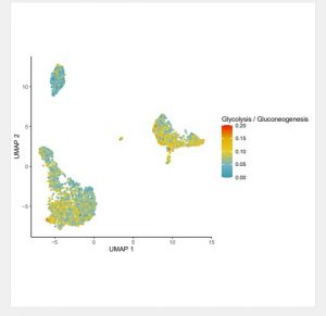 一文学会利用scMetabolism 包进行单细胞代谢活性分析 – 云生信