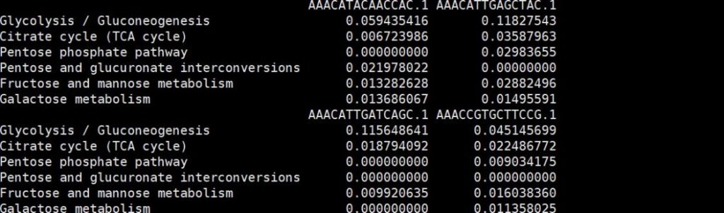 一文学会利用scMetabolism 包进行单细胞代谢活性分析 – 云生信
