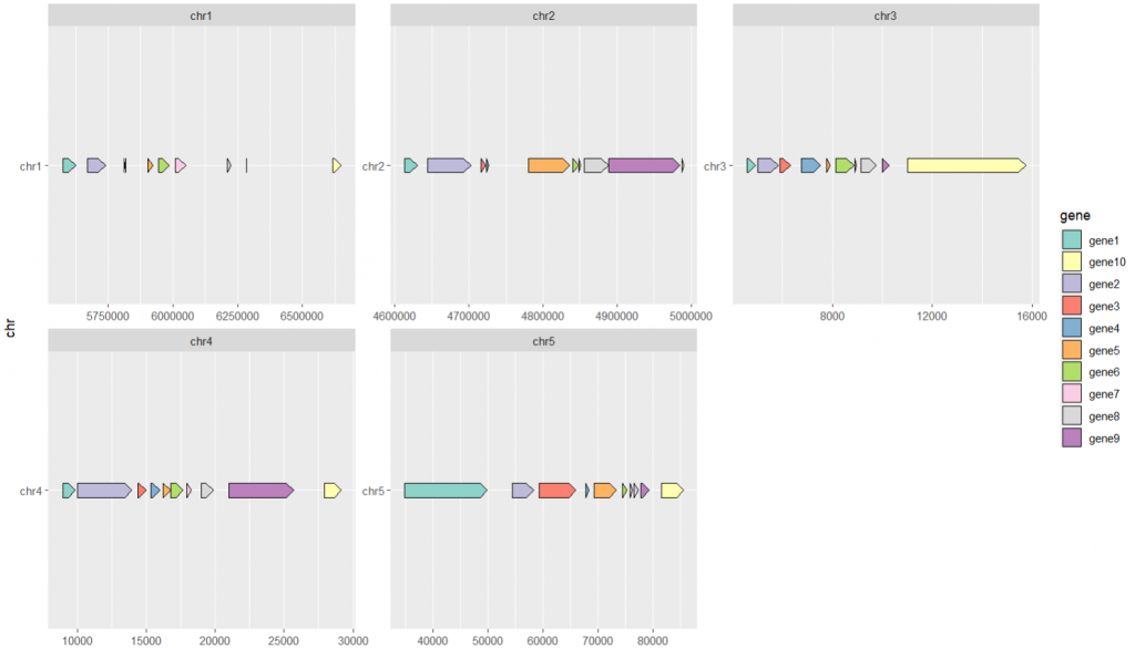 告别加班！gggenes让你5分钟获得基因结构图 – 云生信