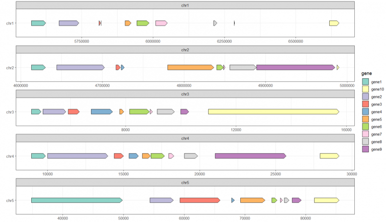 告别加班！gggenes让你5分钟获得基因结构图 – 云生信