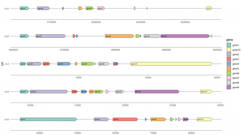 告别加班！gggenes让你5分钟获得基因结构图 – 云生信