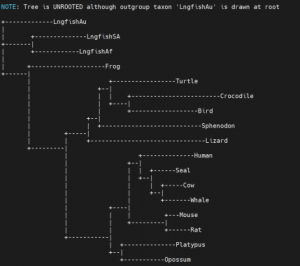 错过真的会后悔！三分钟教你用IQTree构建一个完美的进化树！代码简单+自动选择最佳模型，系统发育分析如此简单！ – 云生信