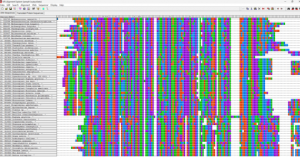 只会用NCBI去blast？多序列比对神器mafft一站式解决你的序列比对难题！亲测有效，简单详细 – 云生信