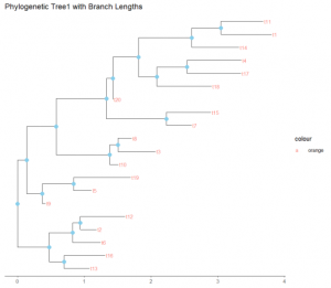 探索进化关系之进化树绘制新篇章：ggtree与ape包的结合！包你轻松掌握生物进化可视化！ – 云生信